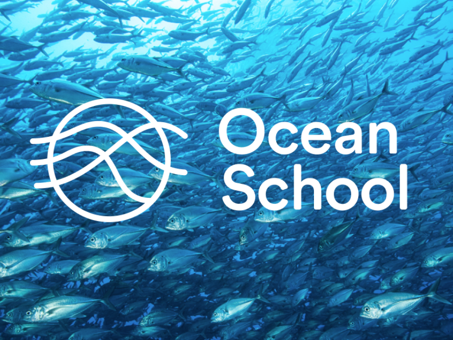 Ocean School