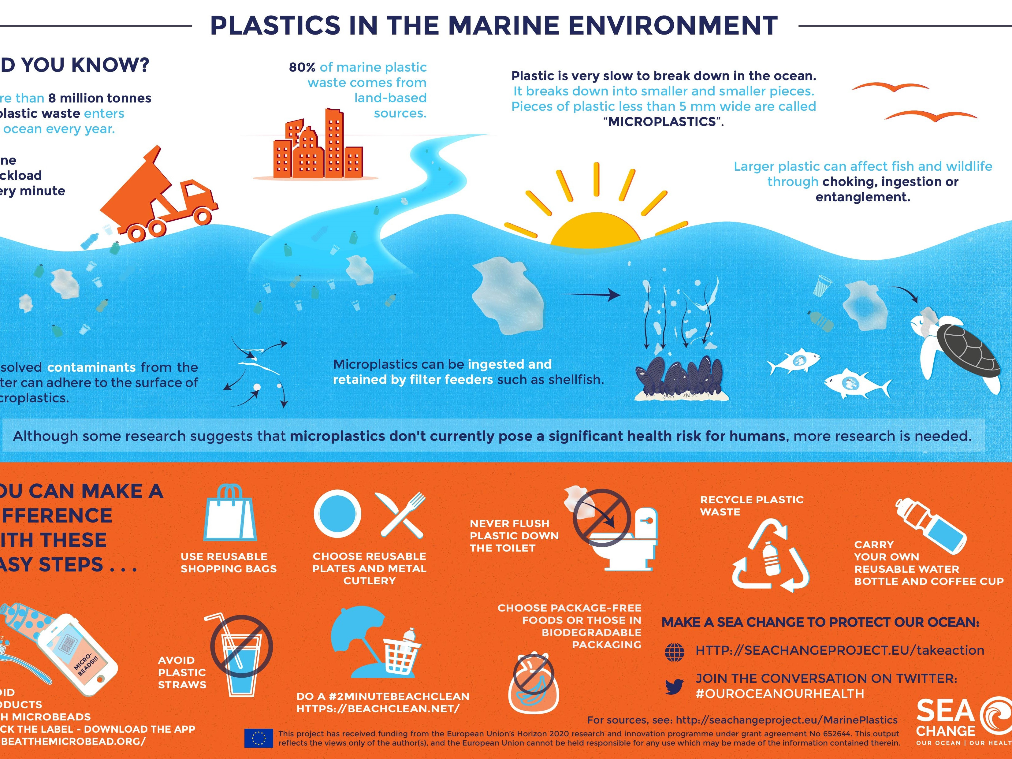 Plastics in the marine enviroment